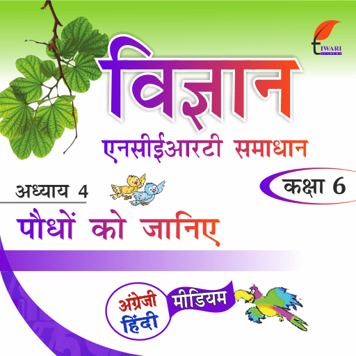 कक्षा 6 विज्ञान अध्याय 4 पौधों को जानिए के लिए एनसीईआरटी समाधान मुफ्त