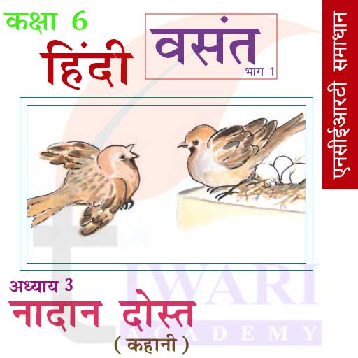 एनसीईआरटी समाधान कक्षा 6 हिंदी वसंत अध्याय 3 नादान दोस्त