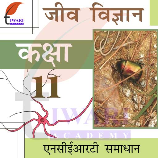 एनसीईआरटी समाधान कक्षा 11 जीव विज्ञान हिंदी अंग्रेजी मीडियम में